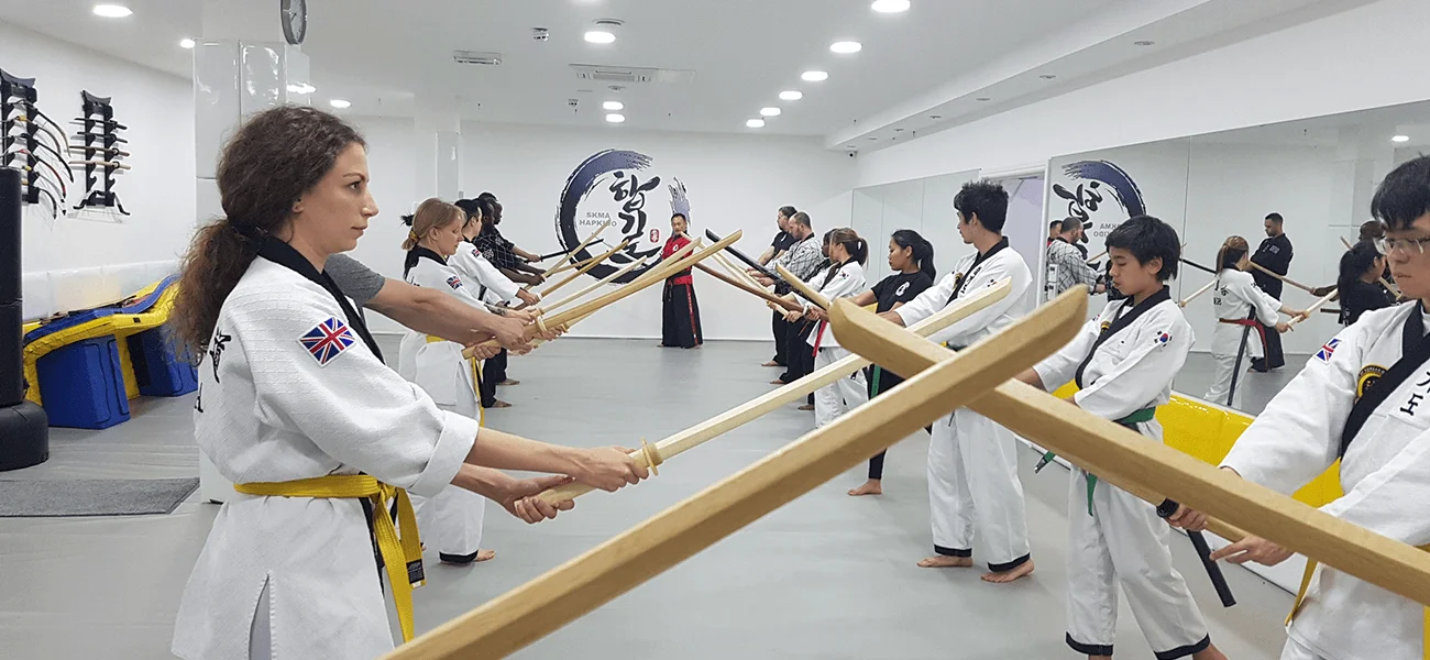 Hapkido Sword Techniques Wood Sword Martial ArtsTraining Karate